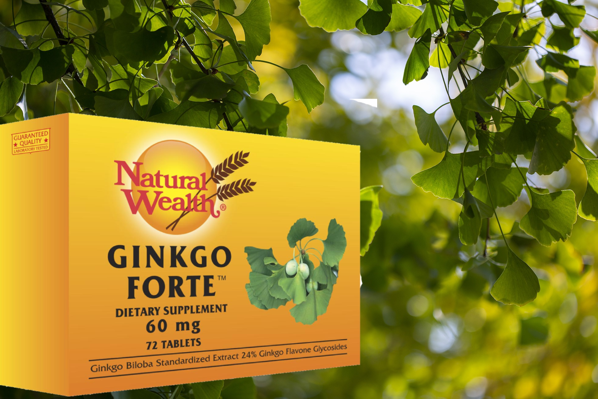 Ginko - za pamćenje i cirkulaciju